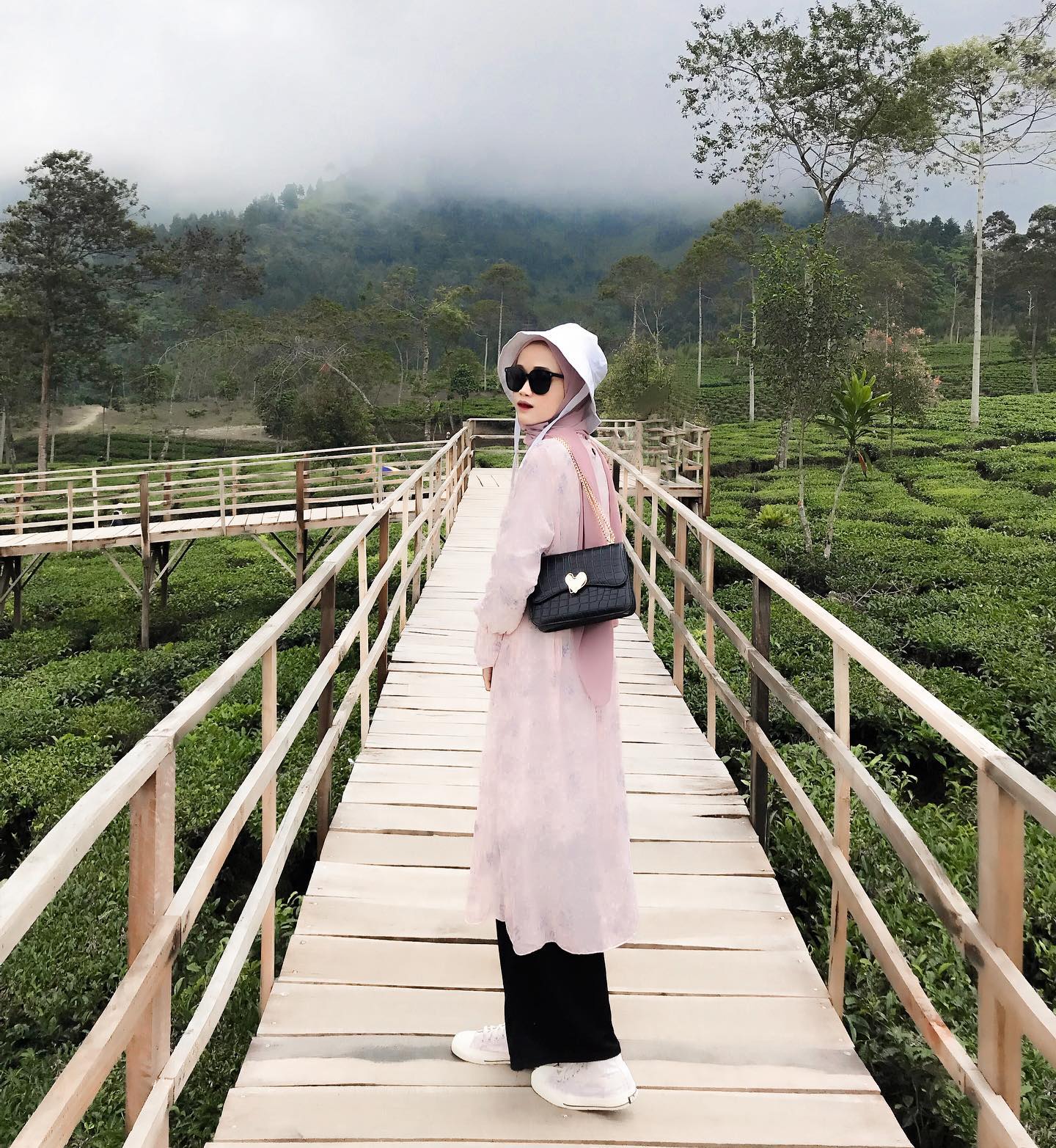 demo-image
